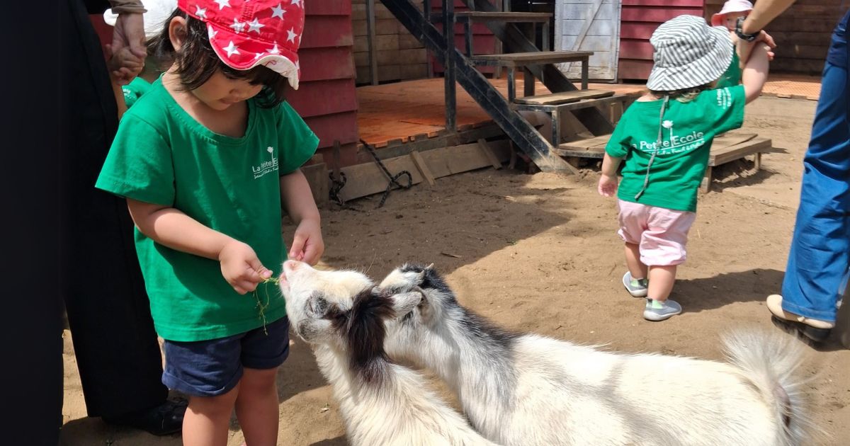 Counting Activities for Kids: 15 Fun Ways to Foster Number Sense - LPE ...